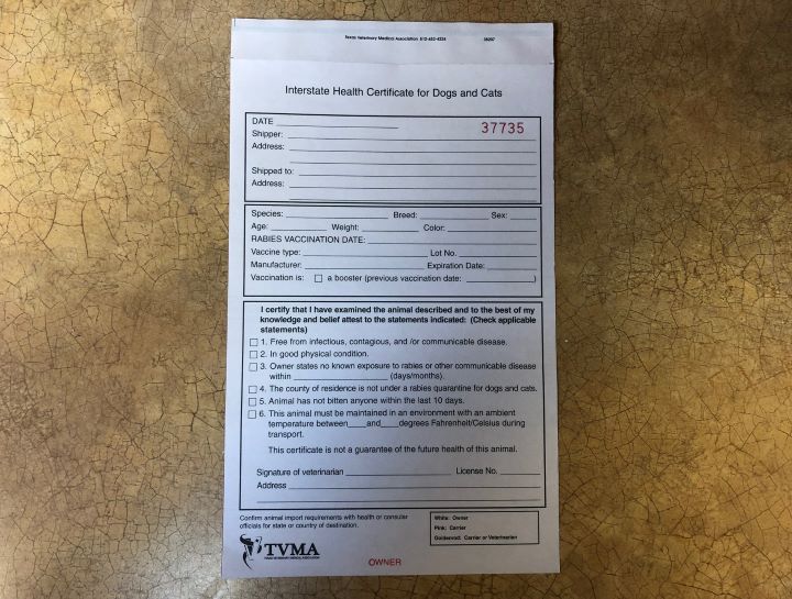 What Is A Health Certificate For Dogs